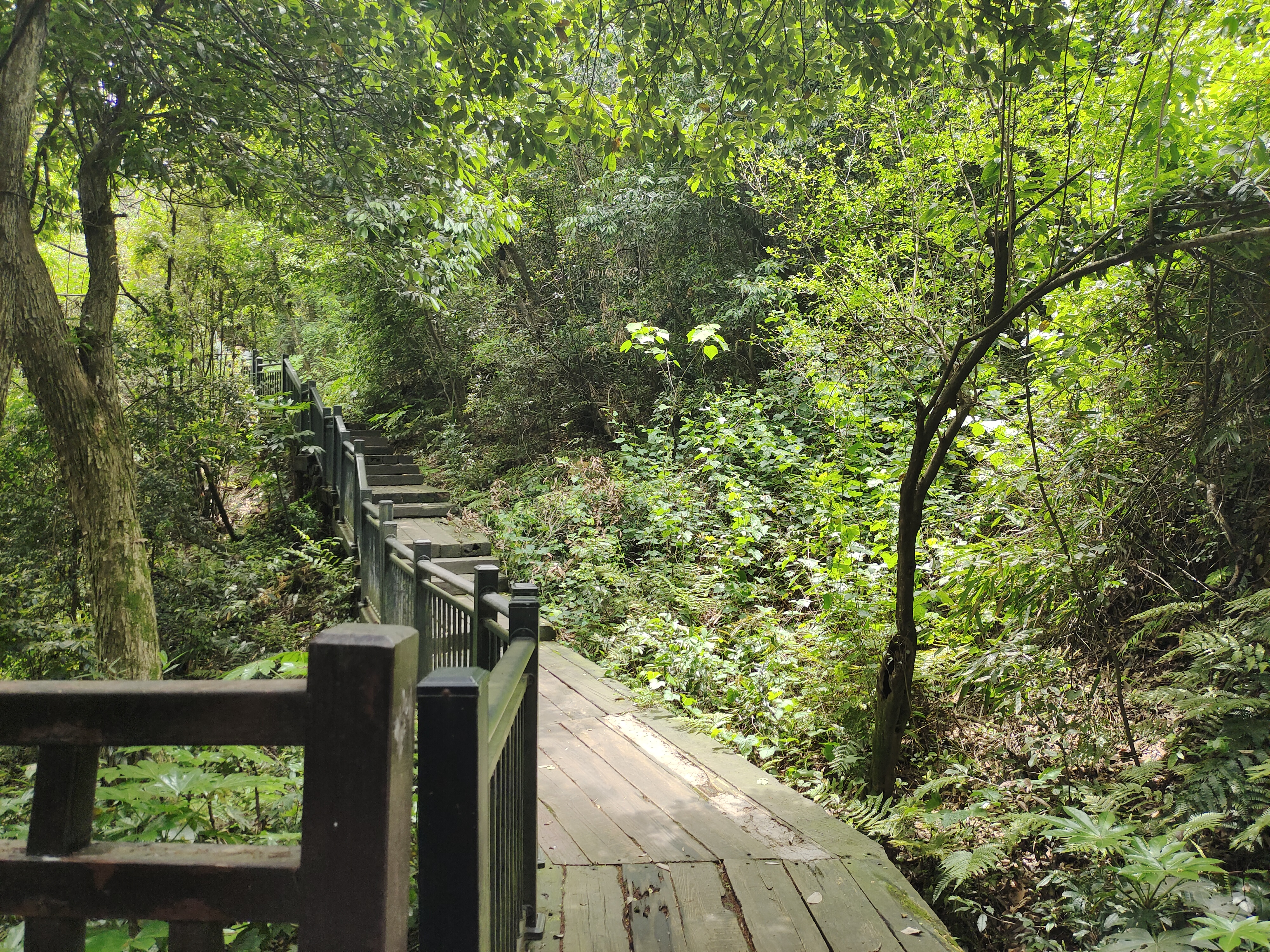 2024CISCN pwn部分wp - Modifier